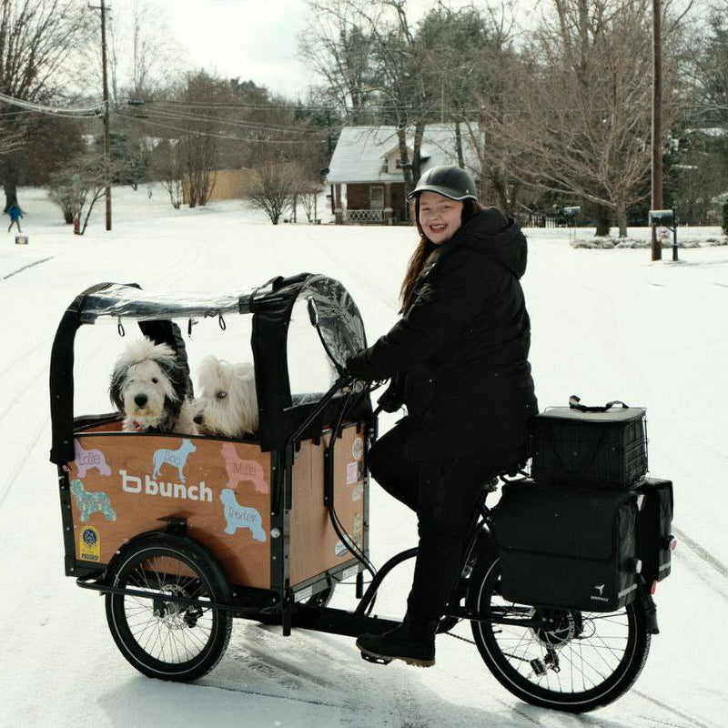 The K9 - Electric Cargo Bike for Dogs: e-Cargo Trike Carries 2+ Dogs