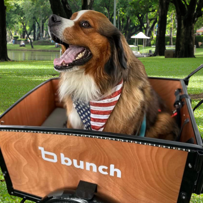 The K9 - Electric Cargo Bike for Dogs: e-Cargo Trike Carries 2+ Dogs
