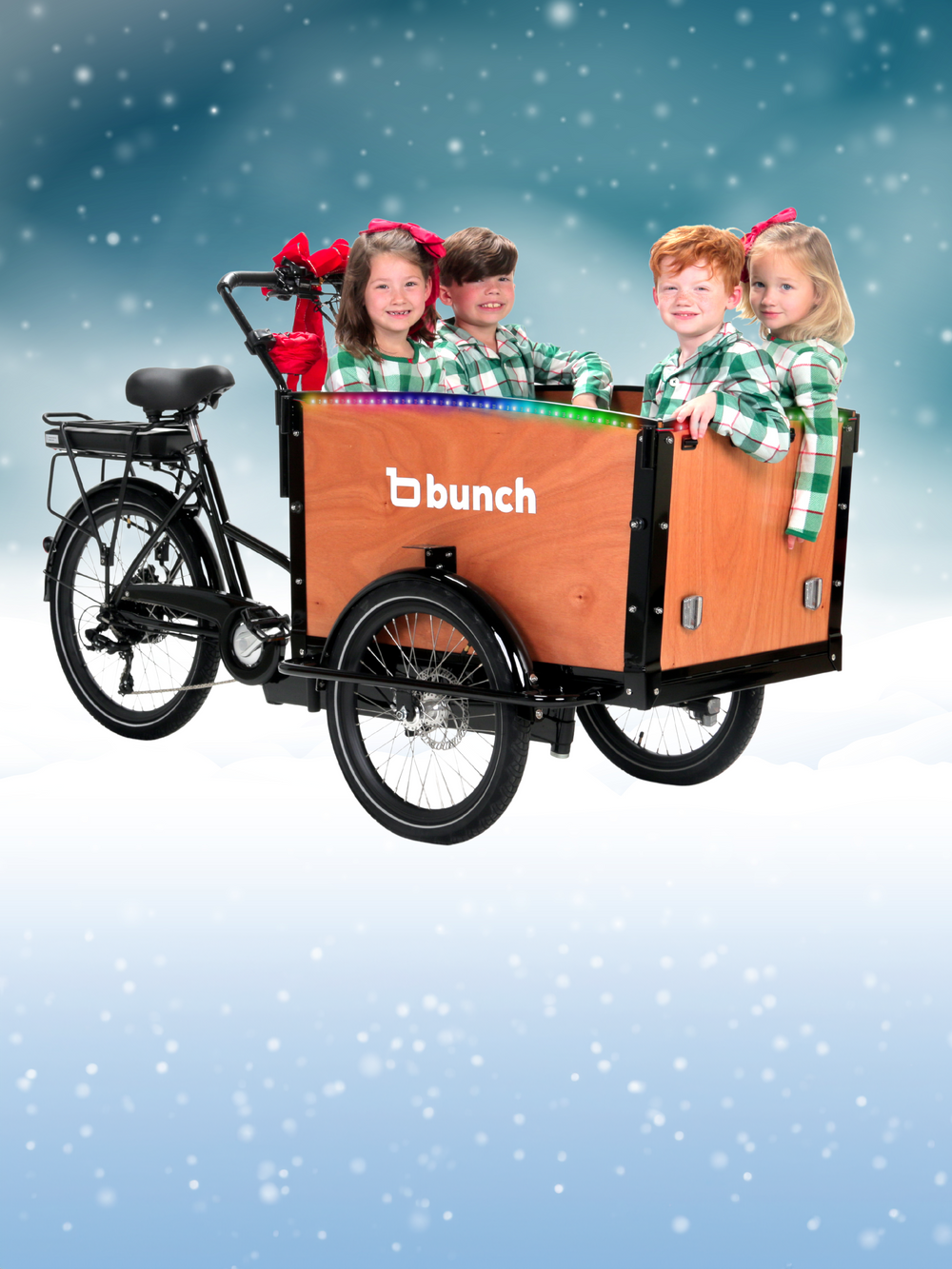 Bunch Bikes | Electric Cargo Bikes | Front Load Family 3-Wheel Trikes