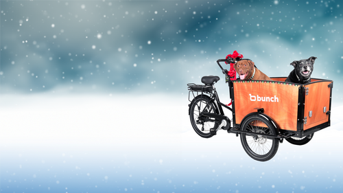 Bunch Bikes | Electric Cargo Bikes | Front Load Family 3-Wheel Trikes