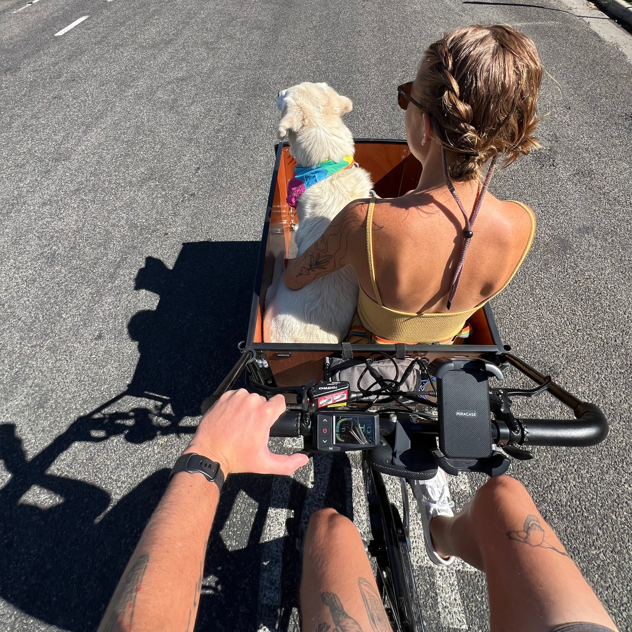 The K9 - Electric Cargo Bike for Dogs: e-Cargo Trike Carries 2+ Dogs