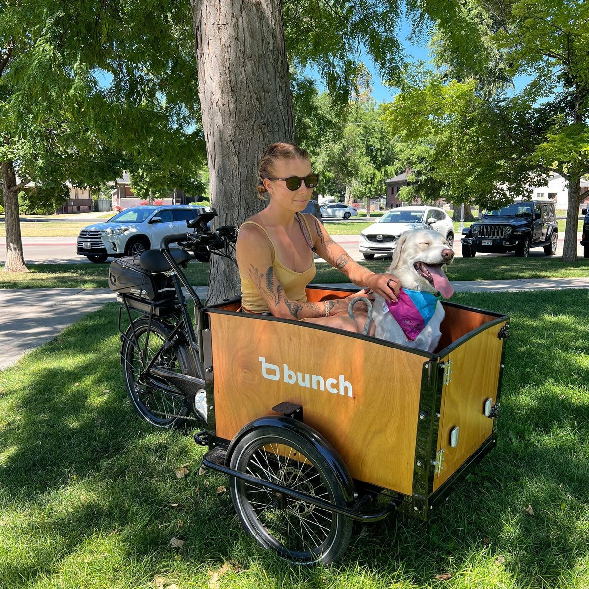 The K9 - Electric Cargo Bike for Dogs: e-Cargo Trike Carries 2+ Dogs