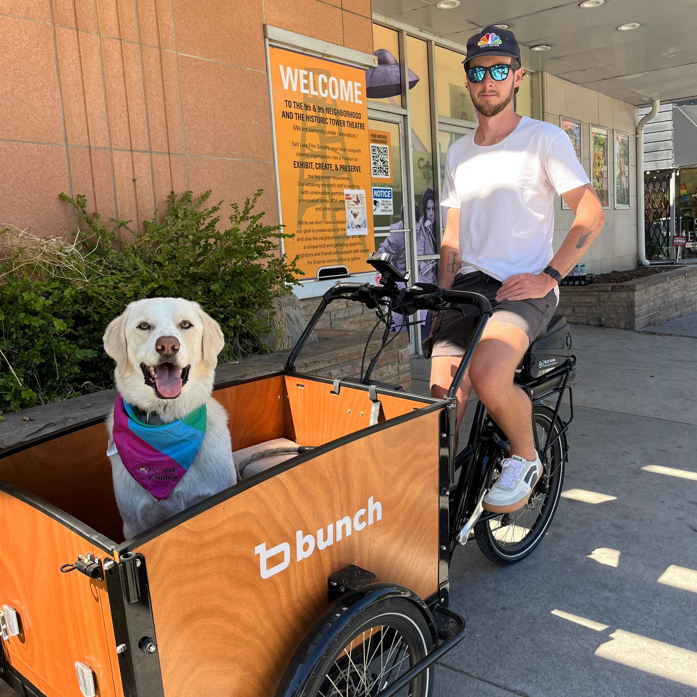 The K9 - Electric Cargo Bike for Dogs: e-Cargo Trike Carries 2+ Dogs