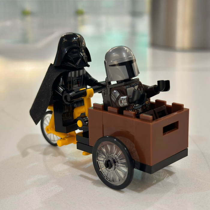 The Custom LEGO® Model