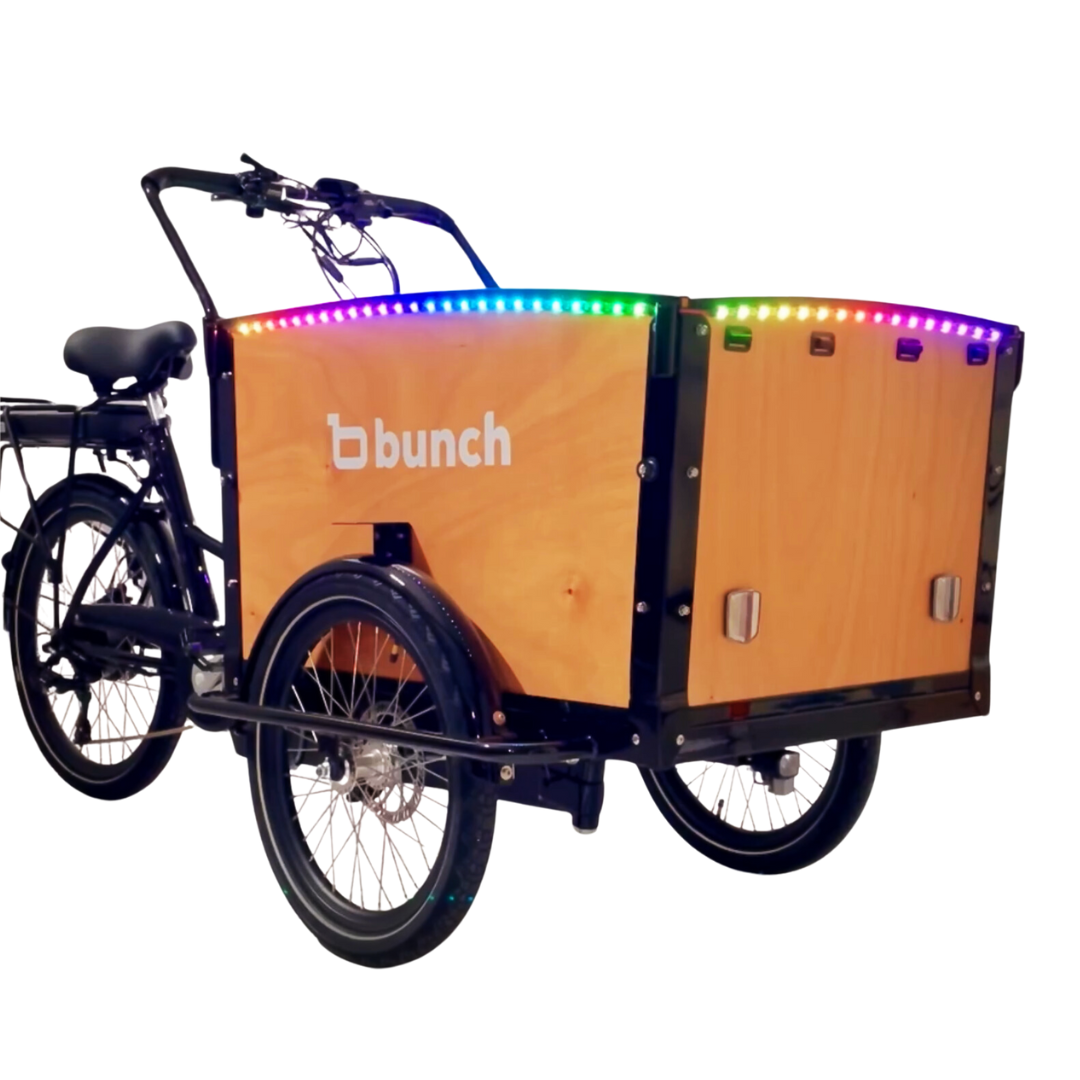 LED Party Lights (Rainbow & More)